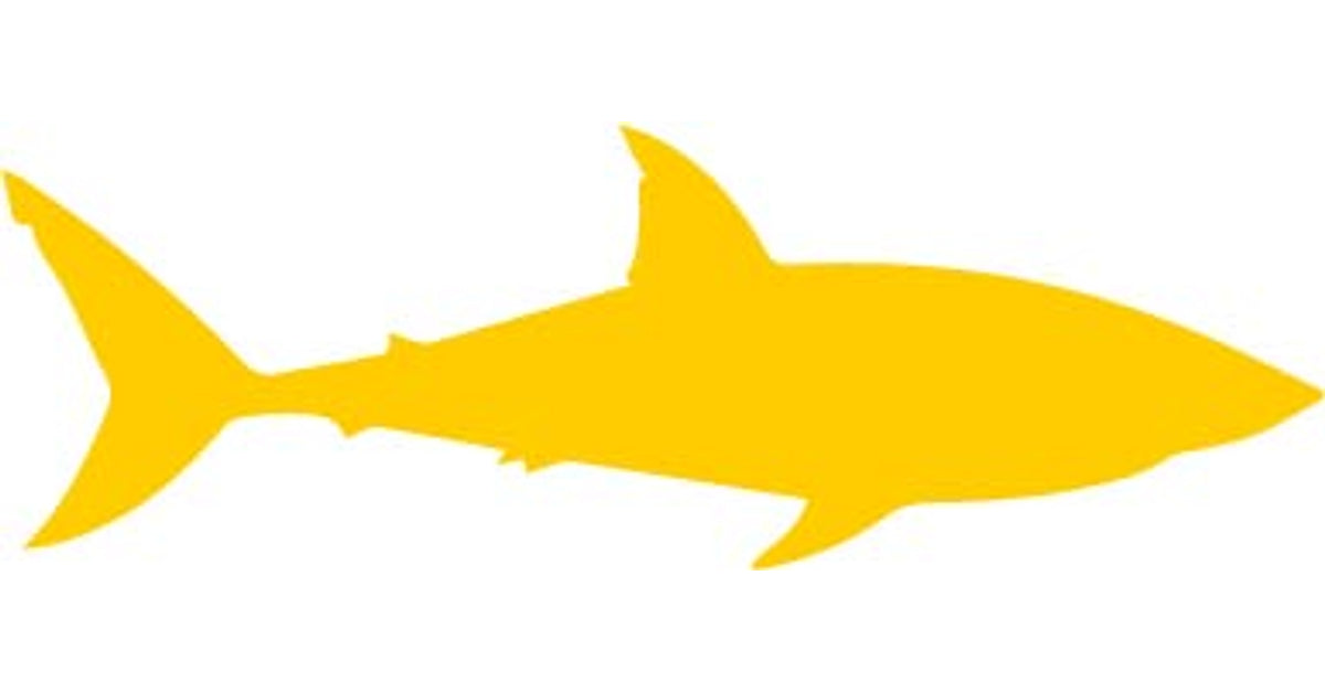 Fish Species Research – Northern Atlantic Fishing